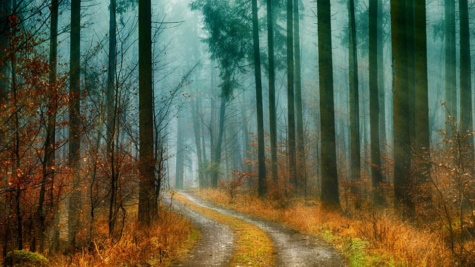 The Fastest Path to a Better Life - Safal Niveshak The Fastest Path to a Better Life - Safal Niveshak